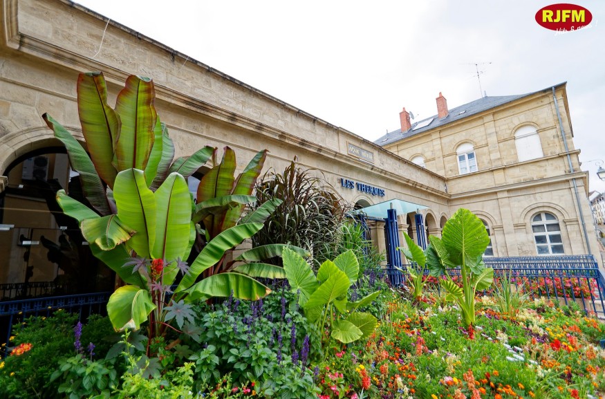 Thermes de Néris-les-bains : France thermes va exploiter un mois de ...